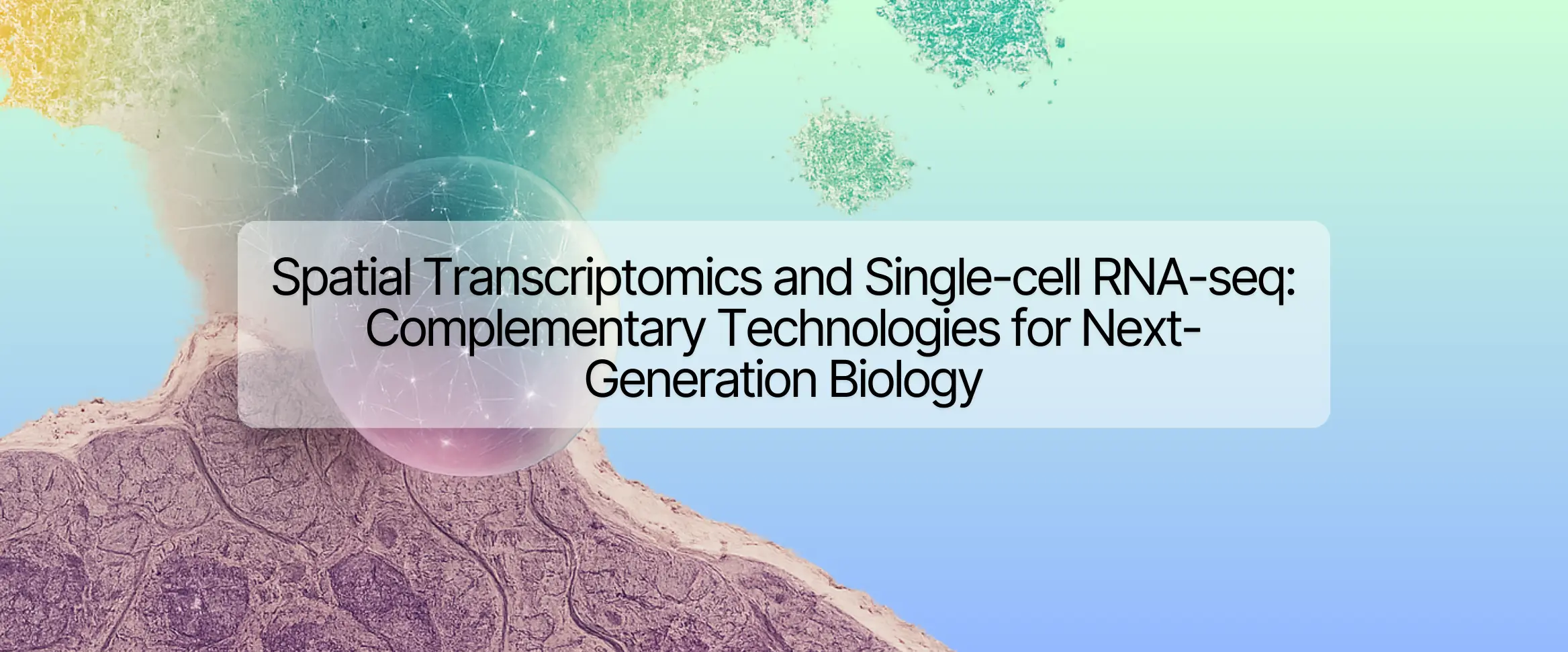 Spatial Transcriptomics and Single-cell RNA-seq: Complementary Technologies for Next-Generation ...